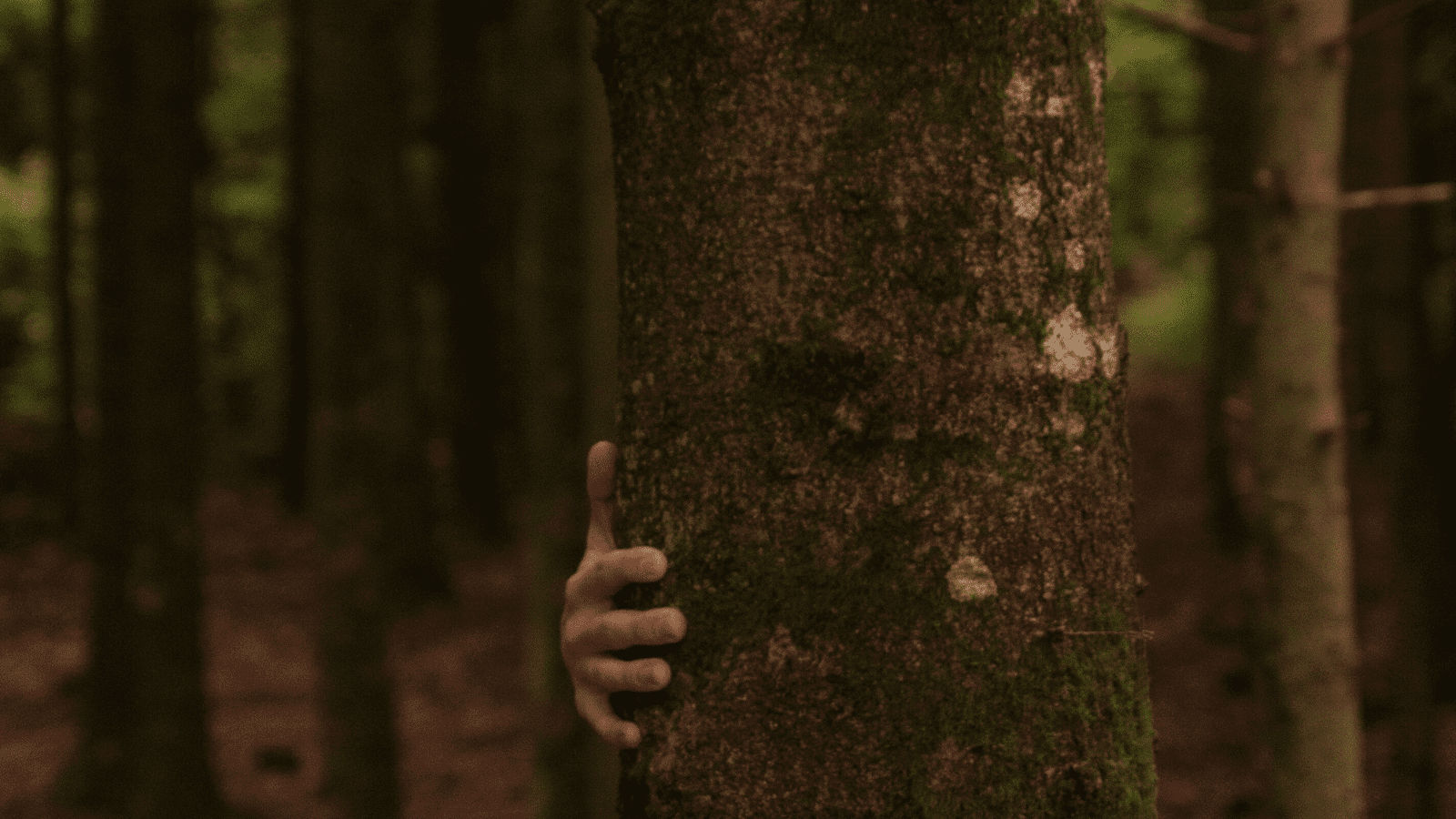 Fear of Success? Why Desired Change Can Be Hard To Implement