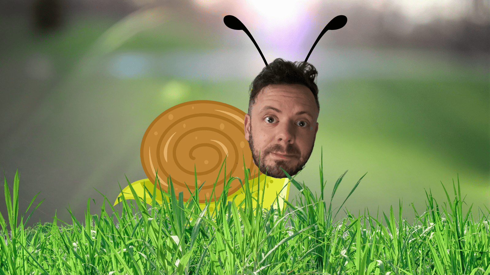 Why You Don’t Need to "Come Out of Your Shell"